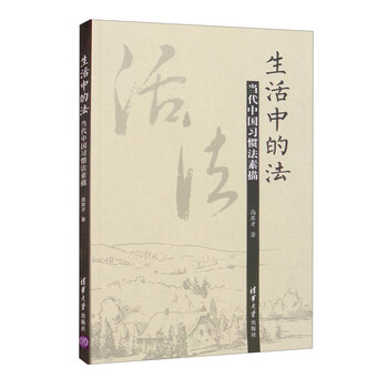 生活中的法：当代中国习惯法素描