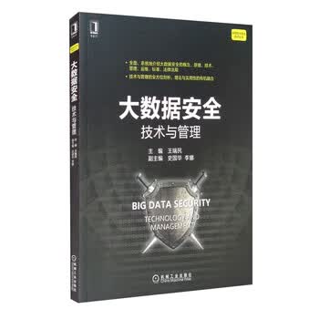 大数据安全：技术与管理