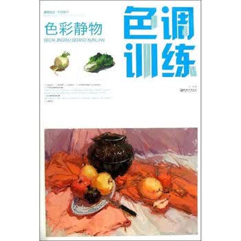 色彩静物色调训练【正版图书】