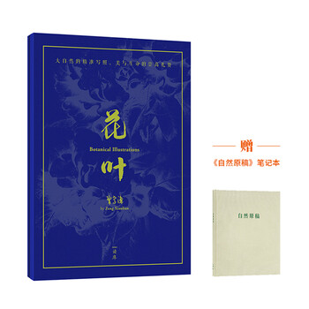 【预售加购】正版自选 《云南花鸟全2册 云南花+云南鸟》《花叶(科学生物画十幅礼盒装)大尺幅原稿复刻》 画集中国生物画动物植物科普画册鸟类花类大百科书籍 花叶(科学生物画十幅礼盒装)（定价433元）