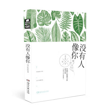 没有人像你 绿亦歌 湖南文艺出版社