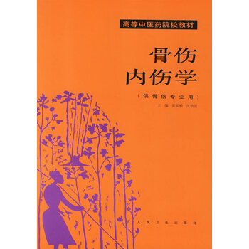 骨伤内伤学【正版图书】
