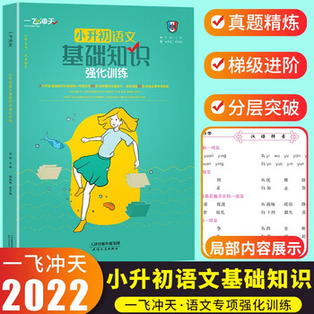 2022一飞冲天小升初语文基础知识+阅读强化训练通用版小学六年级毕业升学总复习教材知识衔接辅导资料书 语文基础知识强化训练