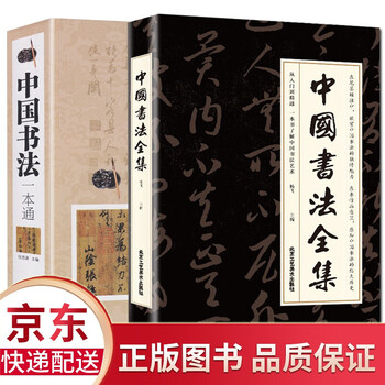 正版2册 中国书法一本通167个练习+中国书法全集 任思源编书法篆书楷书草书基础理论常识鉴赏简史