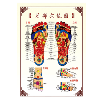 中医养生按摩国家标准足穴挂图脚底足部反射区宣穴位图传画WSA WSA17 足部穴位图 50x70cm  PP覆膜贴纸