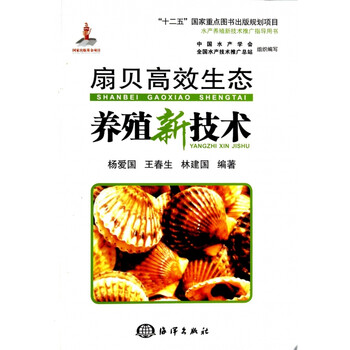 扇贝高效生态养殖新技术