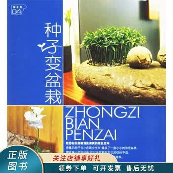 种子变盆栽