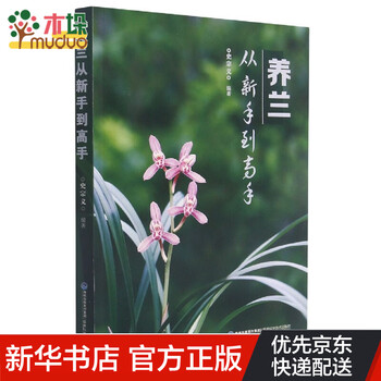 养兰从新手到高手