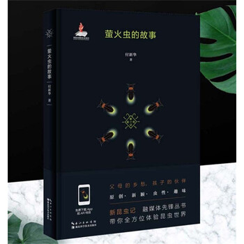 萤火虫的故事