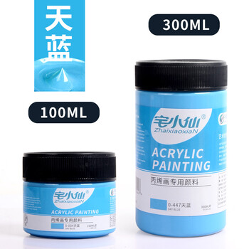 丙烯颜料防水手绘画材料diy墙绘彩绘工具24色画鞋子12色300ml白色炳稀染料不掉色儿童涂鸦丙 天蓝 100ml