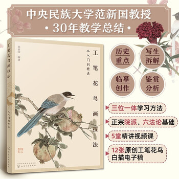 工笔花鸟画技法从入门到精通