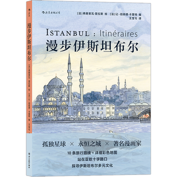 漫步伊斯坦布尔 [ 法 ] 弗朗索瓦·普拉斯 著 四川美术出版社 漫画绘本 动漫小说 外国文学书籍 正版图书 凤凰新华书店旗舰店
