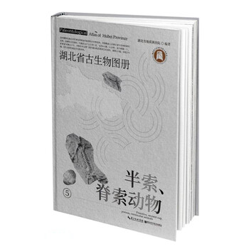 湖北省古生物图册（5半索脊索动物）(精）
