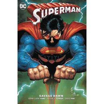 超人漫画 野蛮黎明 精装 DC 英文原版 Superman Savage Dawn