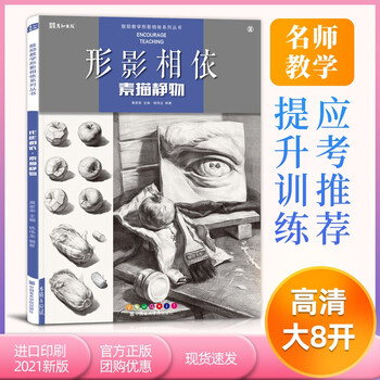 形影相依素描静物组合联考书籍卡入门教材铅笔结构绘画画自学临摹画册范本零基础教程材初学者敲门砖技法大8 默认