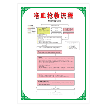 医院制度急救程序挂图过敏性休克抢救流程图示意图墙贴纸WSB169 WSB169-27 50*70cm  PP覆膜贴纸