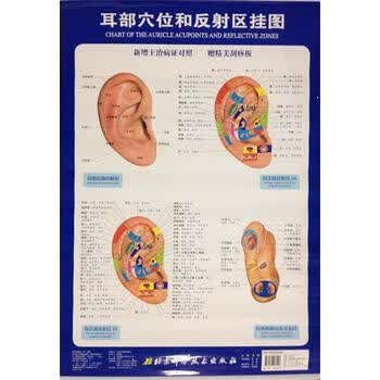 耳部穴位和反射区挂图 王昭【正版书】