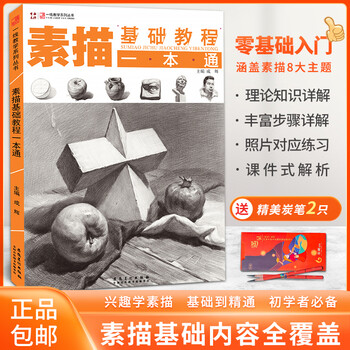 素描基础教程一本通美术绘画零基础单个组合静物几何体人物头像五官石膏像结构明暗步骤解析自学素描画册书