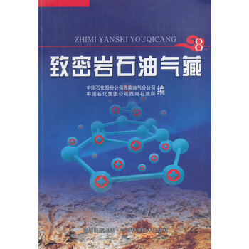 致密岩石油气藏8【正版图书】