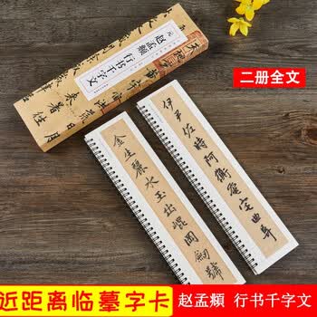赵孟頫行书千字文 元 经典碑帖近距离临摹字卡全文2册 赵体行书毛笔书法字帖附简体旁注 安徽美术出版社