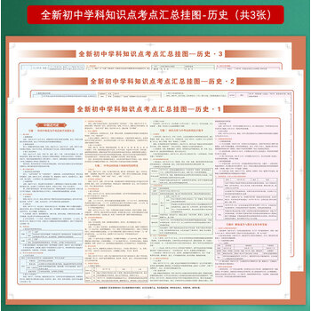 升级版 初中知识点汇总挂图人教版9科重点知识各科课本重难点套装 历史3张