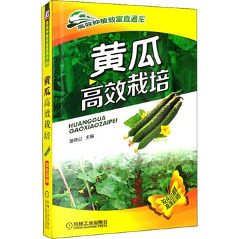 黄瓜高效栽培 图书