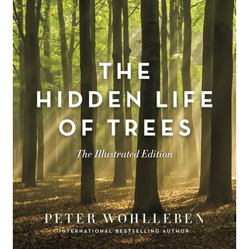 Hidden Life of Trees