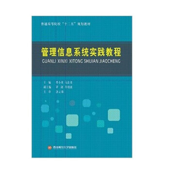 管理信息系统实践教程 9787550419186