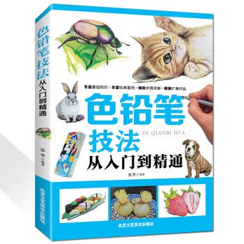 正版 色铅笔技法从入门到精通 零基础学画画 色铅笔绘画新手入门教程 教你学绘画速写构图建筑风景