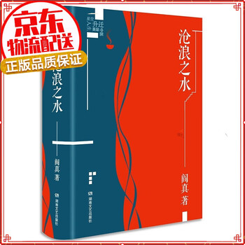 沧浪之水（插图典藏版） 阎真著 中国现当代爱情小说活着之上 岁月经典官场小说长篇小说 正版书籍