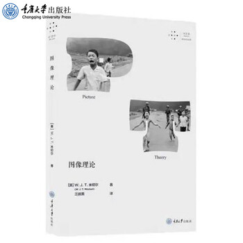 正版 图像理论  W. J. T. 米切尔 著 兰丽英 译 拜德雅视觉文化丛书 重庆大学出版社