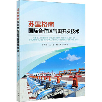 苏里格南国际合作区气田开发技术