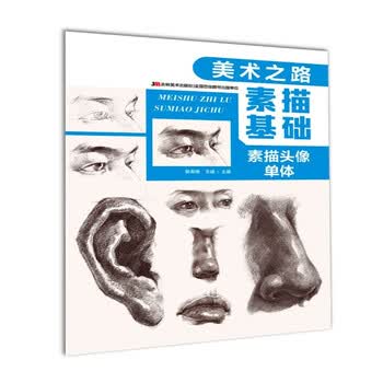 美术之路 素描基础 素描头像单体