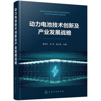 动力电池技术创新及产业发展战略 工业技术 能源与动力工程 化学工业出版社 杨全红