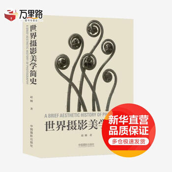 世界摄影美学简史