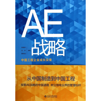 AE战略(中国工程企业成长实录)