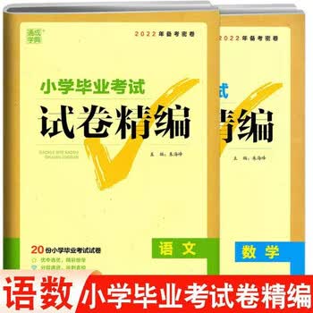 2022版通成学典小学毕业考试试卷精编 语文+数学【两本套装】