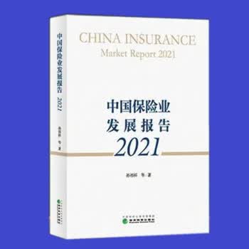 中国保险业发展报告2021 孙祁祥 等著 经济科学出版社