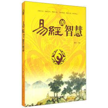 易经的智慧 高维岳