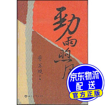 劲雨煦风：唐家璇外交回忆录