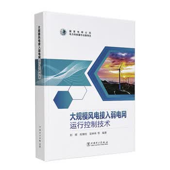 大规模风电接入弱电网运行控制技术