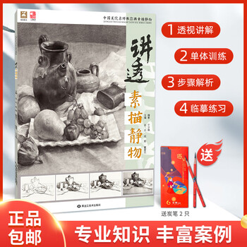 讲透素描静物 国美励志于才瑞临摹范本零基础入门单体组合八开美术手绘画集图册高联考神器教程