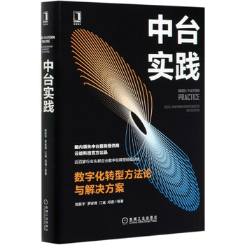 中台实践(数字化转型方法论与解决方案)(精)