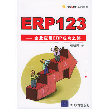 ERP123:企业应用ERP成功之路