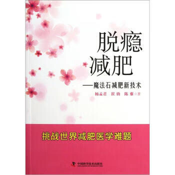 脱瘾:魔法石新技术 杨孟君 等