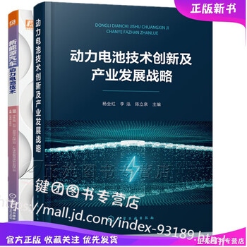2册 动力电池技术创新及产业发展战略+新能源汽车动力电池技术 动力电池研究书籍 动力电池产业政策及产