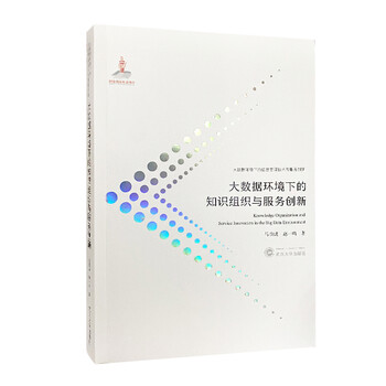 大数据环境下的知识组织与服务创新