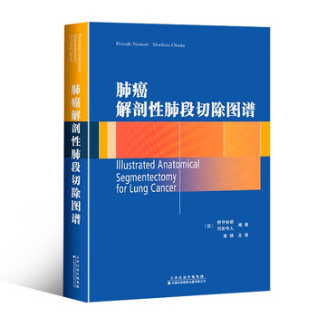 肺癌解剖性肺段切除图谱