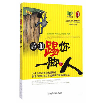 感谢踢你一脚的人 谭晓明　编著