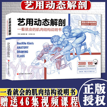 艺用动态解剖 一看就会的肌肉结构说明书 素描绘画教学 漫威插画师金乐熹人体动态结构教程